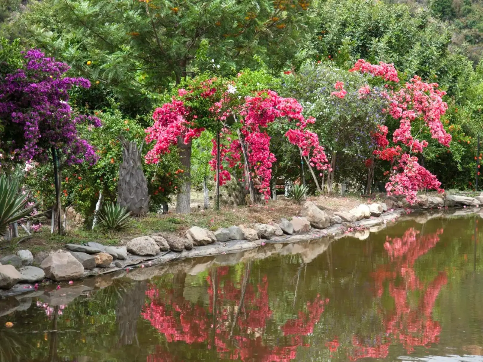 Botanical Park & Gardens of Crete - Liv Tours and Transfers Chania